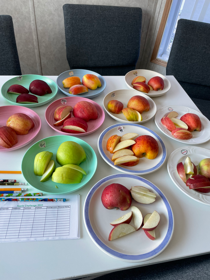 The Learning Connection – thelearningconnection